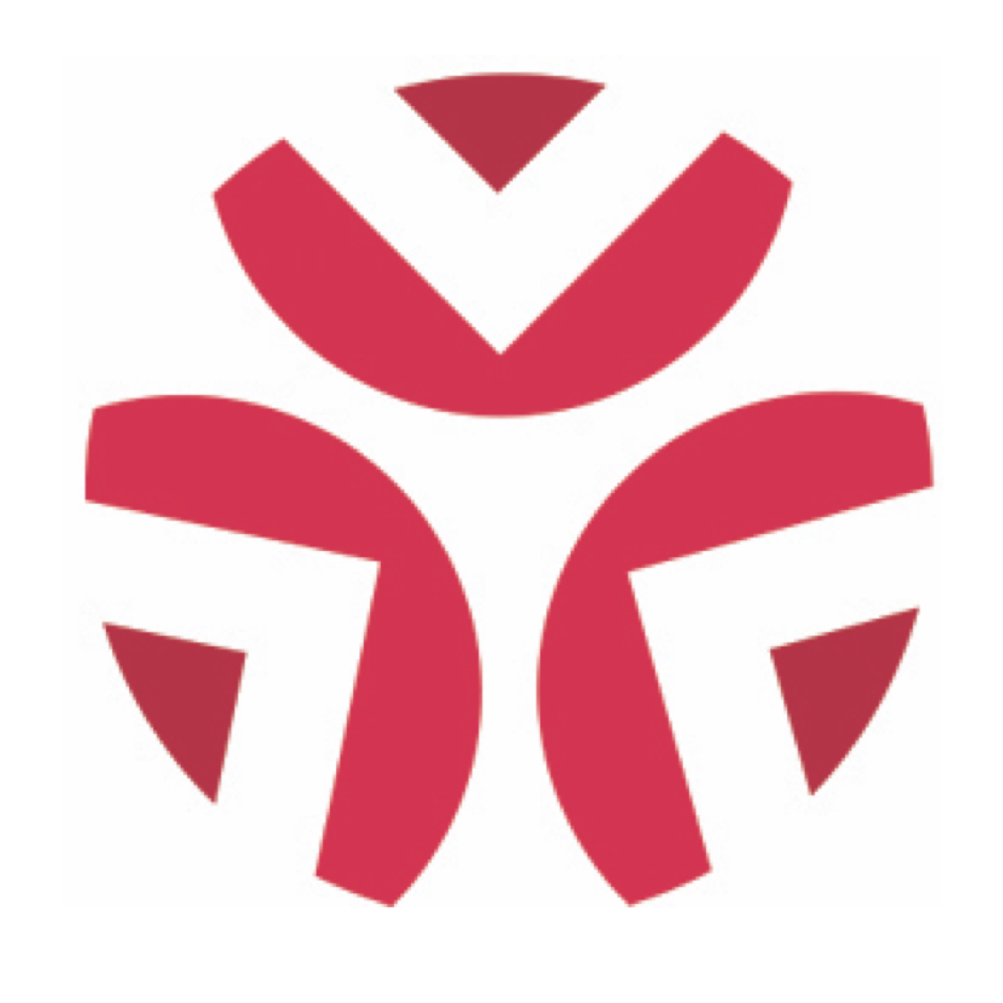 New Arrivals– Page 63– CV Linens