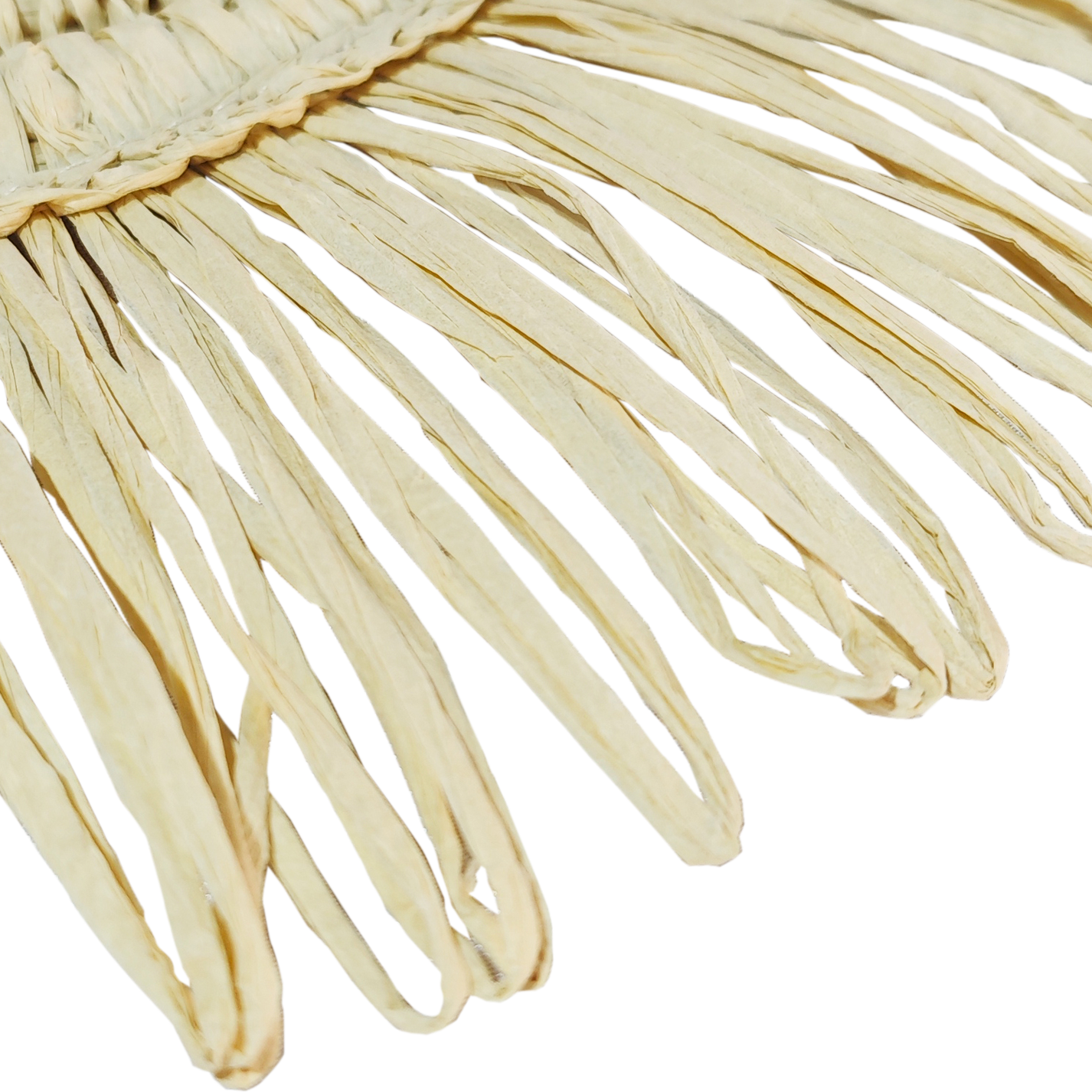 4pc/set Woven Fringe 15" Placemats - Champagne - CV Linens™