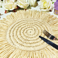 4pc/set Woven Fringe 15" Placemats - Champagne - CV Linens™