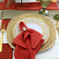 Cotton Gauze Crinkle Napkins 16"x16" (5 pcs/pk) - Rust– CV Linens
