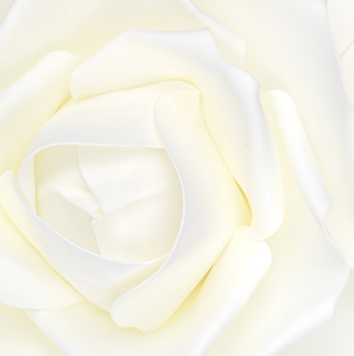 Large Artificial Foam Rose Wall Decor 30 cm - Ivory– CV Linens