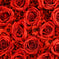 Red Silk Roses & Hydrangeas Flower Wall Backdrop Panel | CV Linens